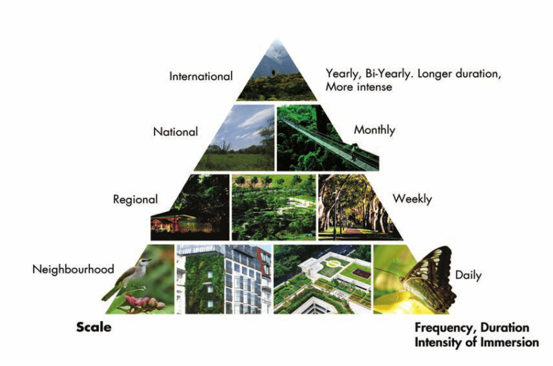 Conceptual-diagram-Nature-Pyramid-2012-Tanya-Denckla-Cobb-and-Timothy ...