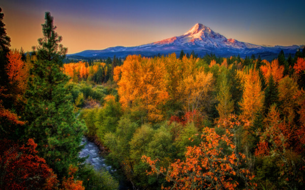 Mount_Hood_Fall_leaves - Sustainable Self