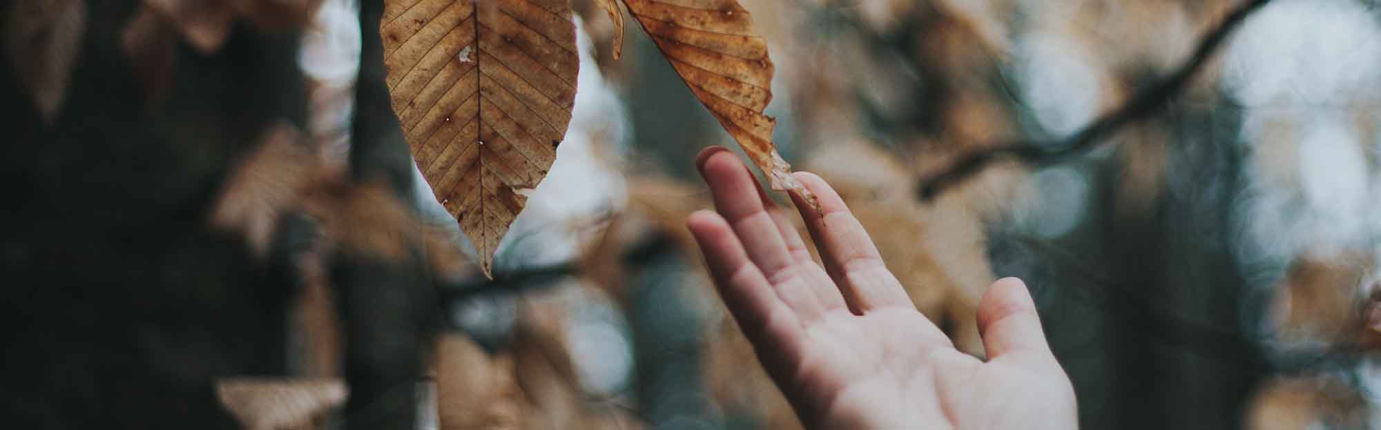 Public Speaking - Sustainable Self